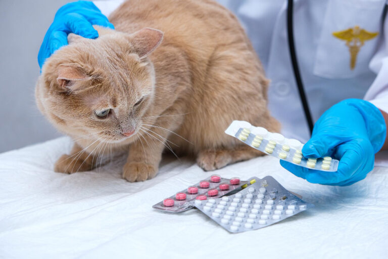 FDA Animal OTC Drug Registration